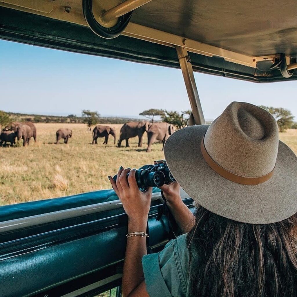 A KENYAN SAFARI!!!- TRAVEL BUDDIES NEEDED!!! - Digital Nomad World