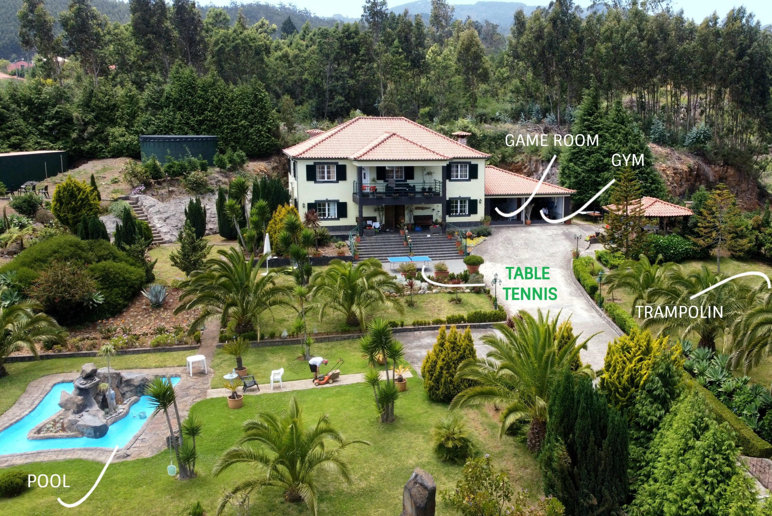 Homeoffice Madeira - Digital Nomad World