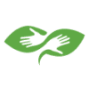 Mawista Insurance Review