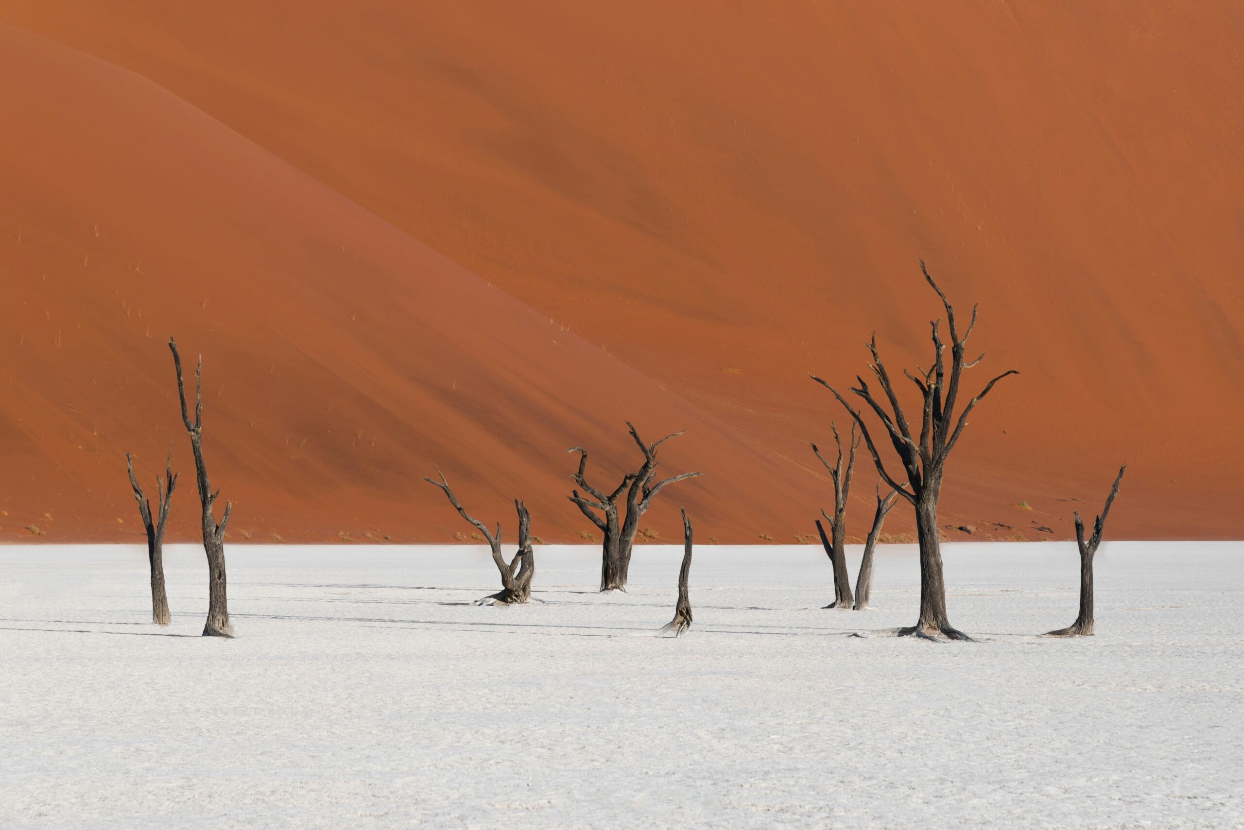 Why Digital Nomads Should Consider Namibia