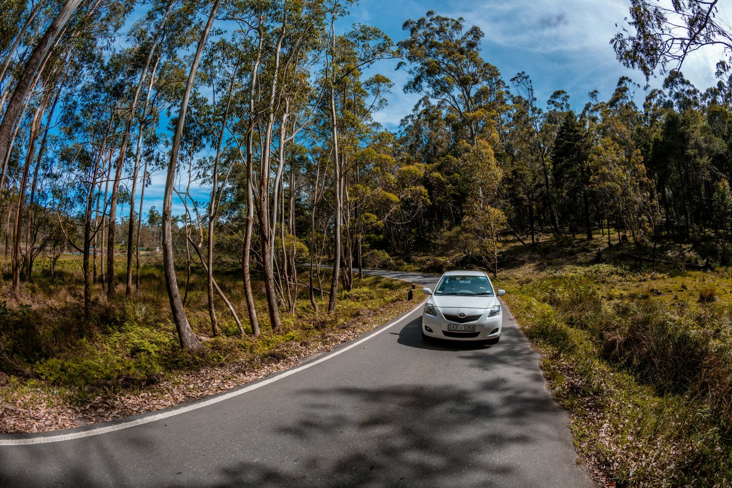 Priceline Car Rental Review
